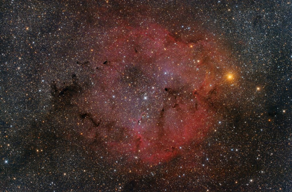 IC1396